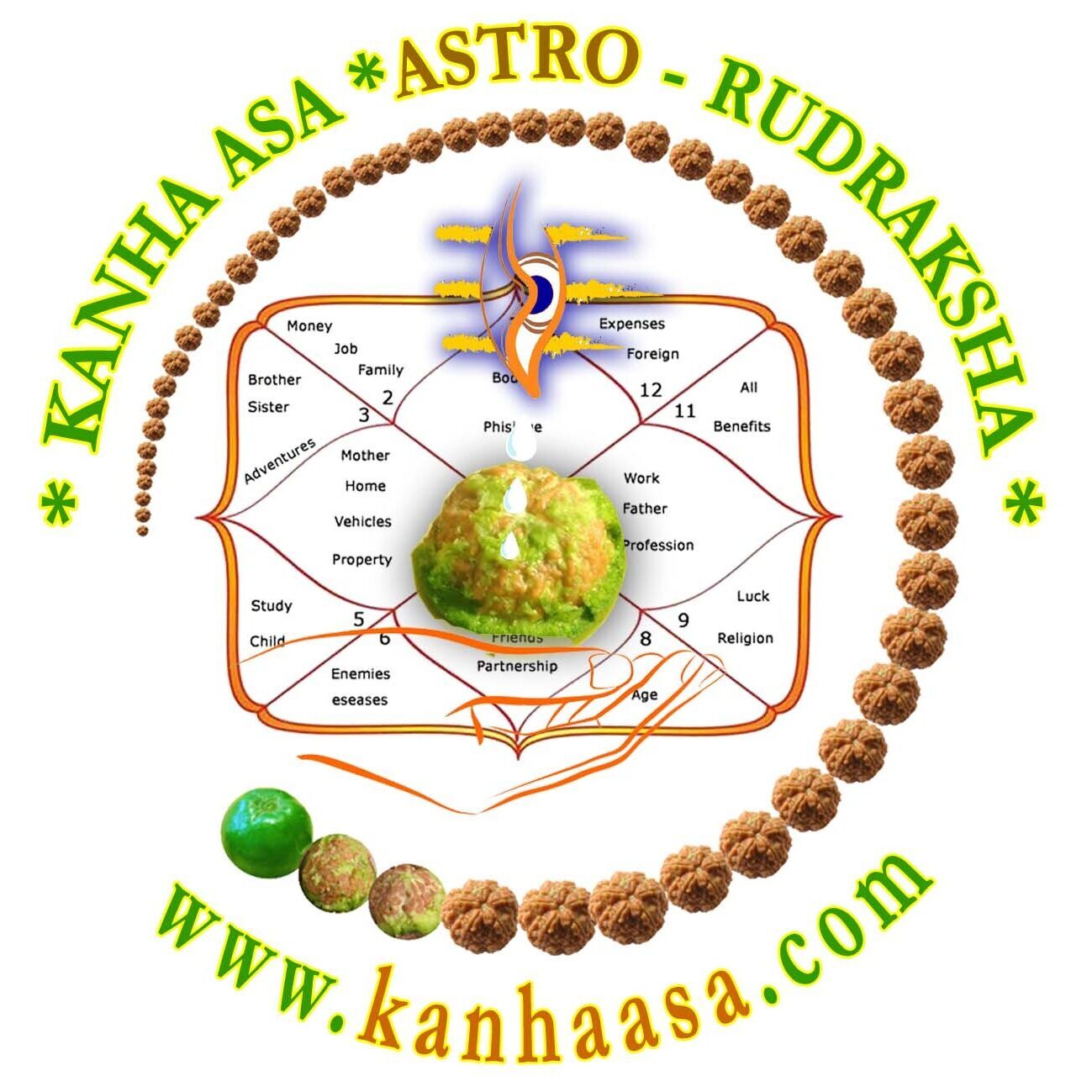 21 Mukhi Kanhaasa 21 Mukhi Kanhaasa